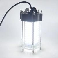 China 12V Underwater Fishing Light Waterproof IP68 Squid Fishing Lights for sale