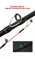 China ALPHAR High Quality Carton 180cm Cuttlefish Rod 26cm Solid Tip Fast Action for sale