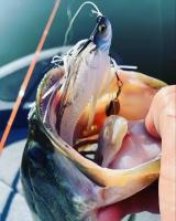 China 13g Silicone Spinnerbait Skirts Swim Jig Head Bass Lures Rubber Skirts For Spinnerbaits for sale
