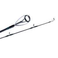 China DPS Deap Sea Popping Fishing Rod Fuji Top Guides Reel Seat Travel Popping Rod for sale