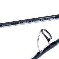 China DPS Deap Sea Popping Fishing Rod Fuji Top Guides Reel Seat Travel Popping Rod for sale