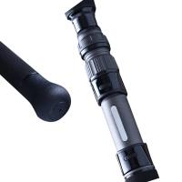 China DPS Deap Sea Popping Fishing Rod Fuji Top Guides Reel Seat Travel Popping Rod for sale