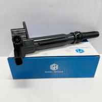 China DG-526 AL3Z-12029-B Car Ignition Coils For FORD F-150 2010-2014 F-250 2011-2016 F-350 2011-2016 for sale