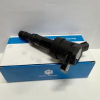 China 27300-03150 Car Ignition Coils For KIA DONG DENG YUEDA 2016-2017 Car for sale