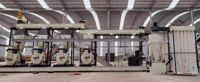 China DR650 Biomass Wood Pellet Production Line 3t/h Capacity with 200kW Power for Industrial Fuel Processing for sale