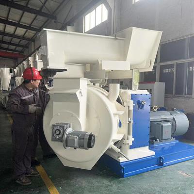 China Alfalfa Grass Pellet Making Machine 2-3t/h with 650mm Ring Die for Animal Feed Production for sale
