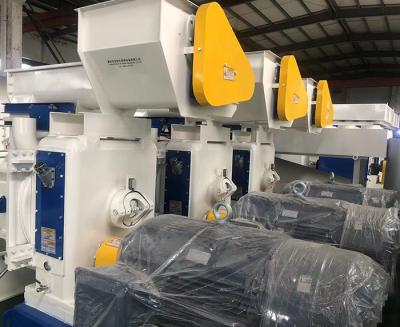 China DRZL508 Anti Blockage Feeder 110KW Tapioca Pellet Press Machine - 1.5-3.5T/H Output, 508mm Ring Die for sale