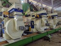 China Large 20T/H Biomass Wood Pellet Production Line with Dust-Free Design for sale