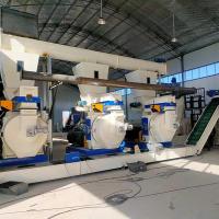 China Large 20T/H Biomass Wood Pellet Production Line with Dust-Free Design for sale
