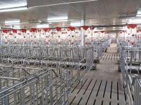 China High Strength Easy To Clean And Maintain GRP Floor Grating FRP Molded Pig Chicken Sheep Floor Grating for sale