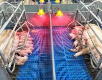 China Easy To Clean And Maintain GRP Floor Grating FRP Farm Farm Processing Plant  38x38mm Long Service Life for sale