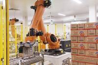 China Packaging Robots KUKA KR 120 Palletizing  Industrial Robot Cell for sale