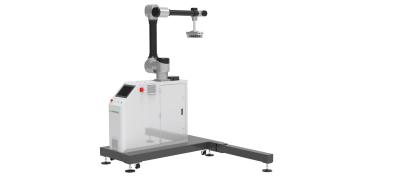 China Chinese Industrial Robotic Palletizer WP-20 30kg Payload 8-10 Cycles per Minute for sale