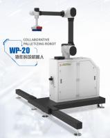 China Robot Integration With Chinese Robot Arm WP-20   Palletizing Robot for sale
