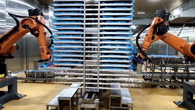 China KUKA KR60-3 6-Axis Palletizing Robot 60 kg Payload 2033 mm Reach for Food Packaging Automation for sale