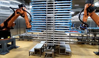 China KUKA KR60-3 Industrial Robot Palletizing Cell 60kg Payload IP65 6 Axis for sale