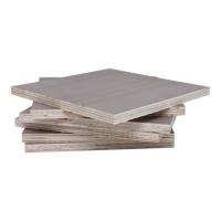 China HPL 18mm Hardwood Plywood 1220x2440 Laminated MDF Boards Moisture Proof for sale