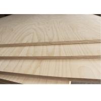 China 27mm formwork plywood construction membrane veneer veneer plywood for sale