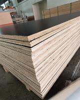 China Panel hardwood core 12mm 15mm 18mm laminated furniture plywood for sale