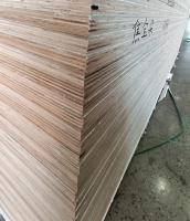China Panel hardwood core 12mm 15mm 18mm laminated furniture plywood for sale