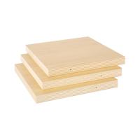 China E0 Shuttering Plywood Sheets Birch Plywood 18mm Onesided Decoration for sale