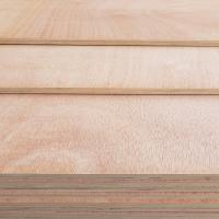 China E0 Shuttering Plywood Sheets Birch Plywood 18mm Onesided Decoration for sale