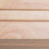 China Indoor 15mm Birch Ply 1220x2440mm Plywood Sheet Comercial Use for sale