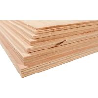 China Indoor 15mm Birch Ply 1220x2440mm Plywood Sheet Comercial Use for sale