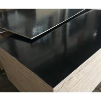 China Black Birch Ply 18mm 21mm Birchwood Plywood Template 1250x2550mm for sale