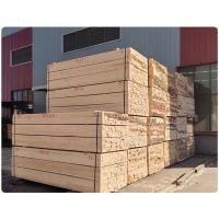 China Black Birch Ply 18mm 21mm Birchwood Plywood Template 1250x2550mm for sale