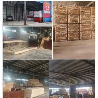China Black Birch Ply 18mm 21mm Birchwood Plywood Template 1250x2550mm for sale