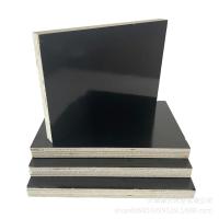 China Black Birch Ply 18mm 21mm Birchwood Plywood Template 1250x2550mm for sale