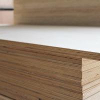 China Modern 15mm Birch Plywood Template Artificial Veneer Surface for sale