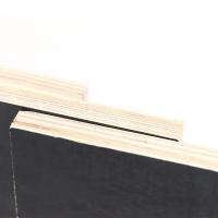 China First Class Plywood Formwork Double Sided 21mm Birch Faced Plywood for sale