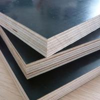 China First Class Plywood Formwork Double Sided 21mm Birch Faced Plywood for sale