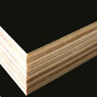 China First Class Plywood Formwork Double Sided 21mm Birch Faced Plywood for sale