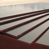 China First Class Plywood Formwork Double Sided 21mm Birch Faced Plywood for sale