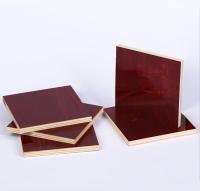 China Bridge Construction Birch Faced Plywood 18mm 25mm Birch Plywood for sale
