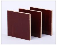 China Bridge Construction Birch Faced Plywood 18mm 25mm Birch Plywood for sale