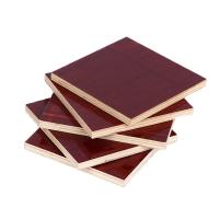 China Bridge Construction Birch Faced Plywood 18mm 25mm Birch Plywood for sale