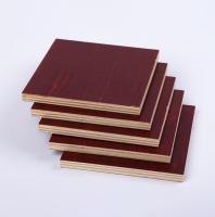 China Bridge Construction Birch Faced Plywood 18mm 25mm Birch Plywood for sale