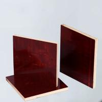 China Bridge Construction Birch Faced Plywood 18mm 25mm Birch Plywood for sale
