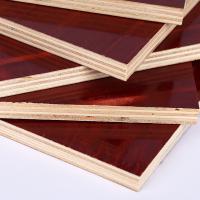 China Bridge Construction Birch Faced Plywood 18mm 25mm Birch Plywood for sale