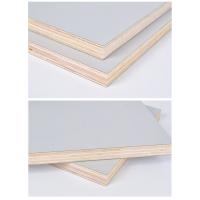 China WBP Birch Plywood Sheet 12mm 15mm 18mm 21mm Plywood Template for sale