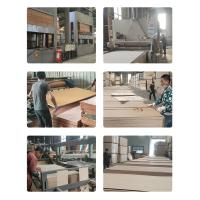 China WBP Birch Plywood Sheet 12mm 15mm 18mm 21mm Plywood Template for sale