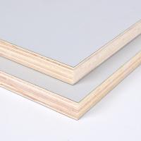 China WBP Birch Plywood Sheet 12mm 15mm 18mm 21mm Plywood Template for sale
