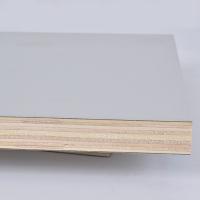 China WBP Birch Plywood Sheet 12mm 15mm 18mm 21mm Plywood Template for sale