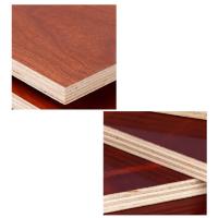 China E2 Shuttering Plywood 18mm Birch Formwork Ply For Outdoor Use for sale