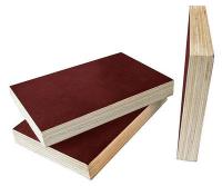 China MR E0 WBP Construction Shuttering Plywood Template 1250x2550mm for sale