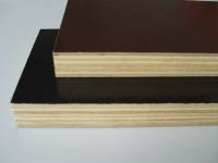 China MR E0 WBP Construction Shuttering Plywood Template 1250x2550mm for sale